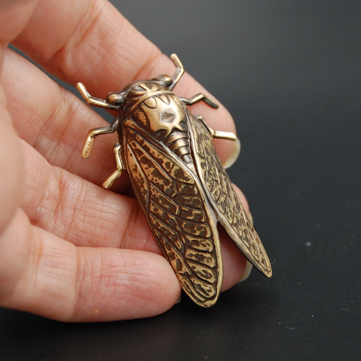 Brass Cicada Insect Pin or Brooch – Metal Cloth & Wood, LLC