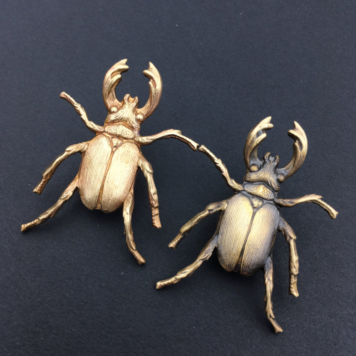 Brass Stag Beetle Insect Pin or Brooch – Metal Cloth & Wood, LLC